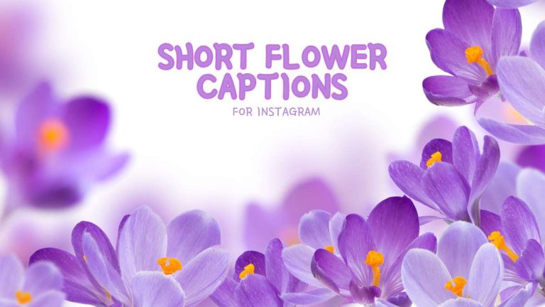 130 Rose Flower Captions For Instagram: Cute, Funny, And Aesthetic