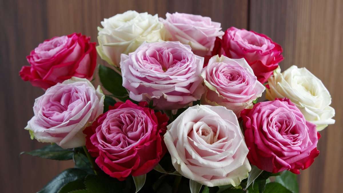 130 Rose Flower Captions For Instagram: Cute, Funny, And Aesthetic