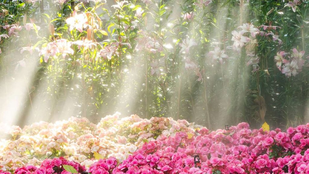 140 Hello Spring Quotes To Welcome The Season Of Renewal