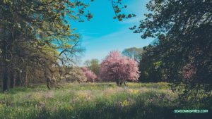 When Does Spring Start? Your Guide To The Spring Equinox & Wallpapers!