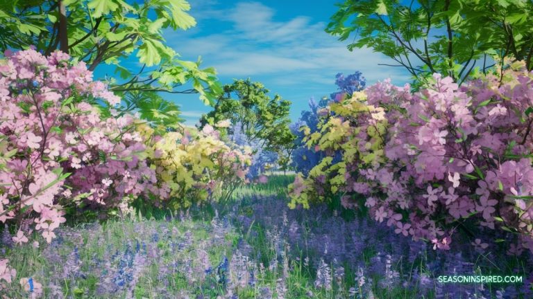 When Does Spring Start? Your Guide To The Spring Equinox & Wallpapers!