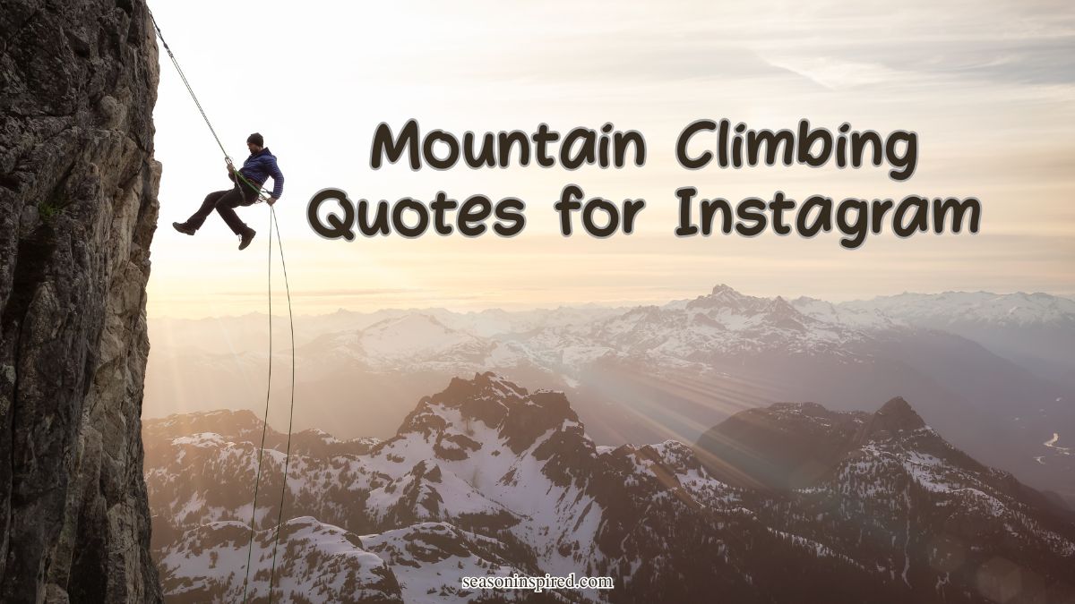 150+ Best Mountain Quotes For Instagram To Inspire Wanderlust